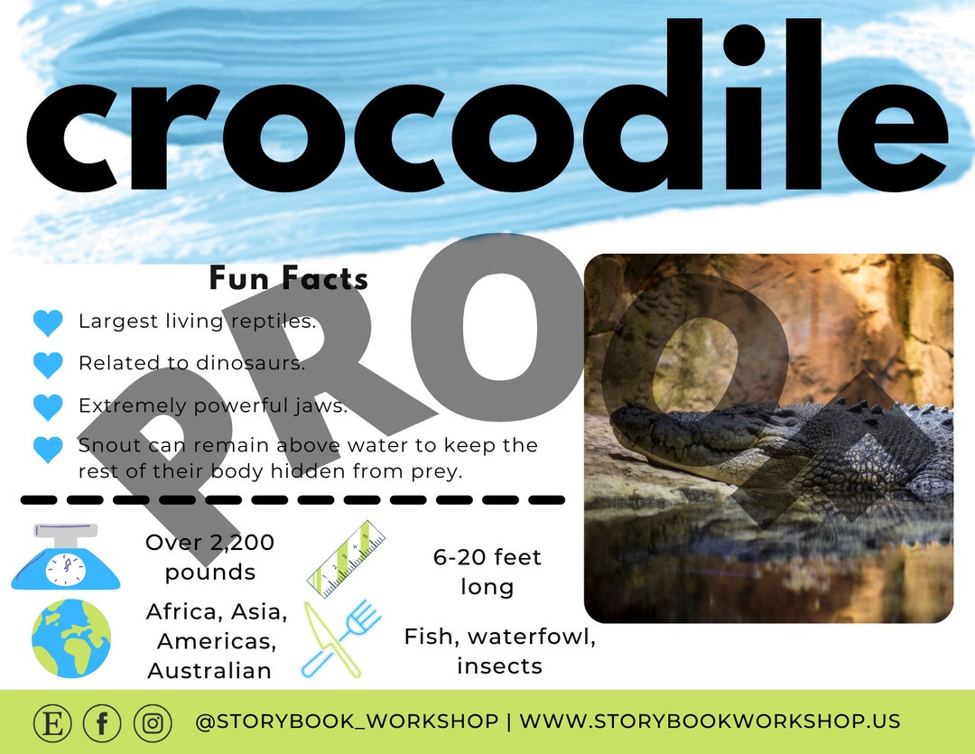 Zoo Animal Fact Sheets | Printable Animal Cards | Educational Printable ...