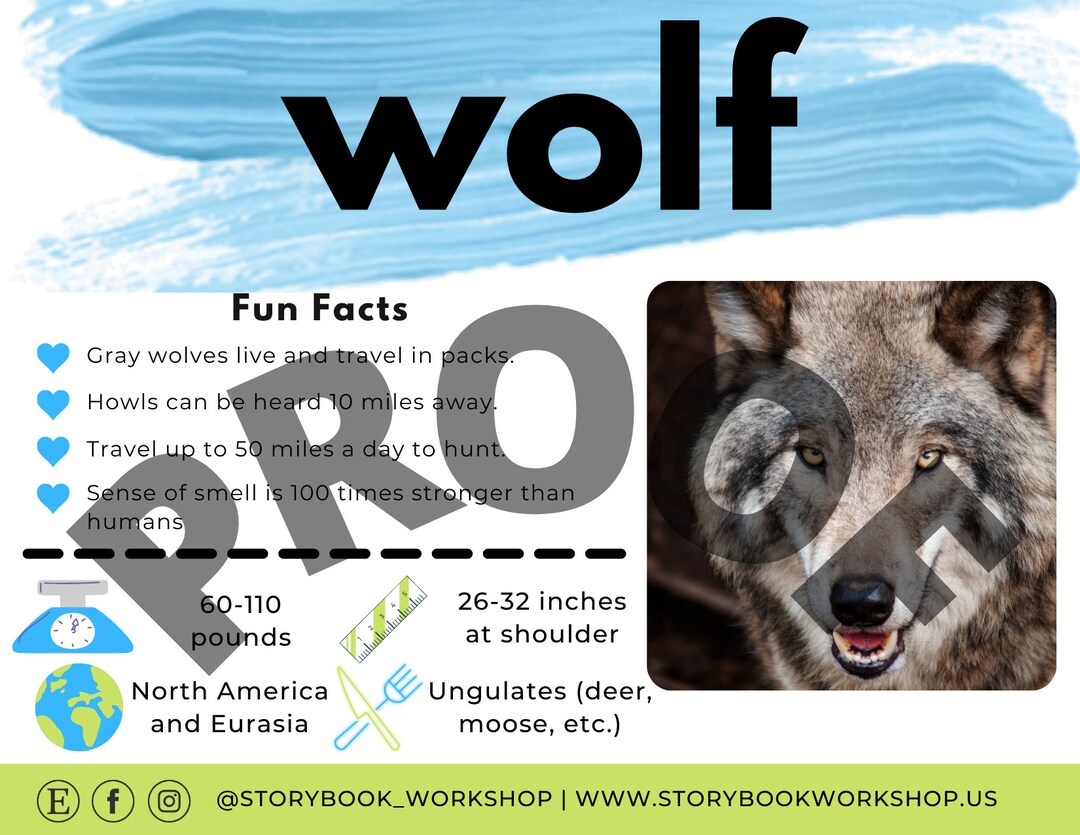 Woodland Animal Fact Sheets | Printable Animal Cards | Forest Animal ...