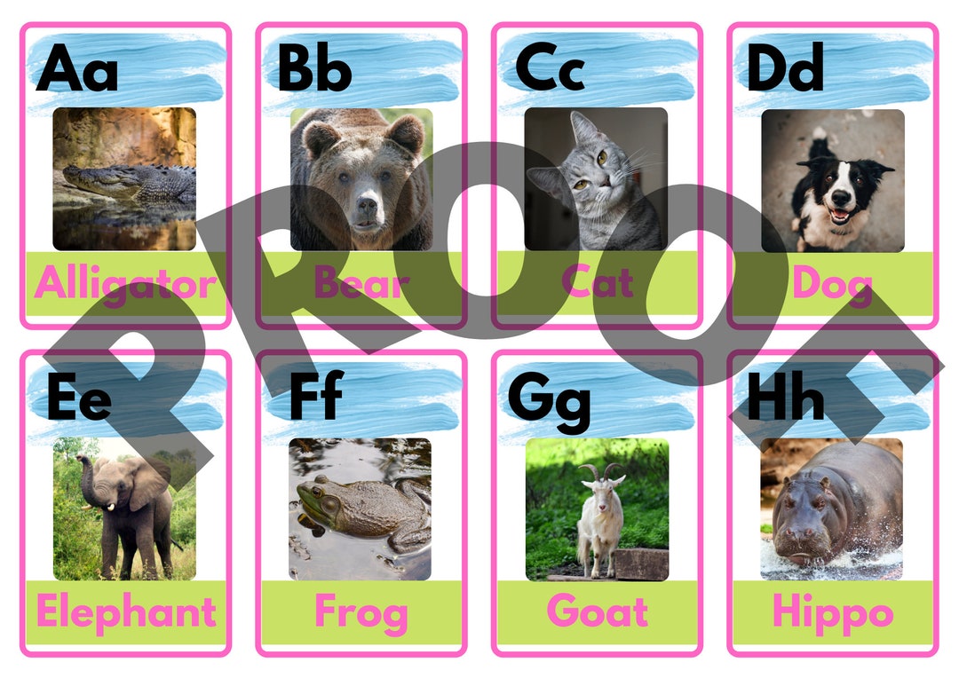 Animal Alphabet Flash Cards | Realistic ABC Learning (digital Download ...