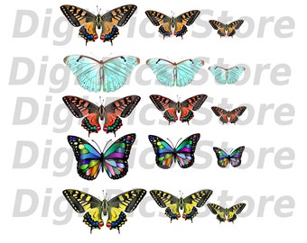 Digital Collage Sheet Butterflies Wings Jpeg-instant Download Butterfly ...