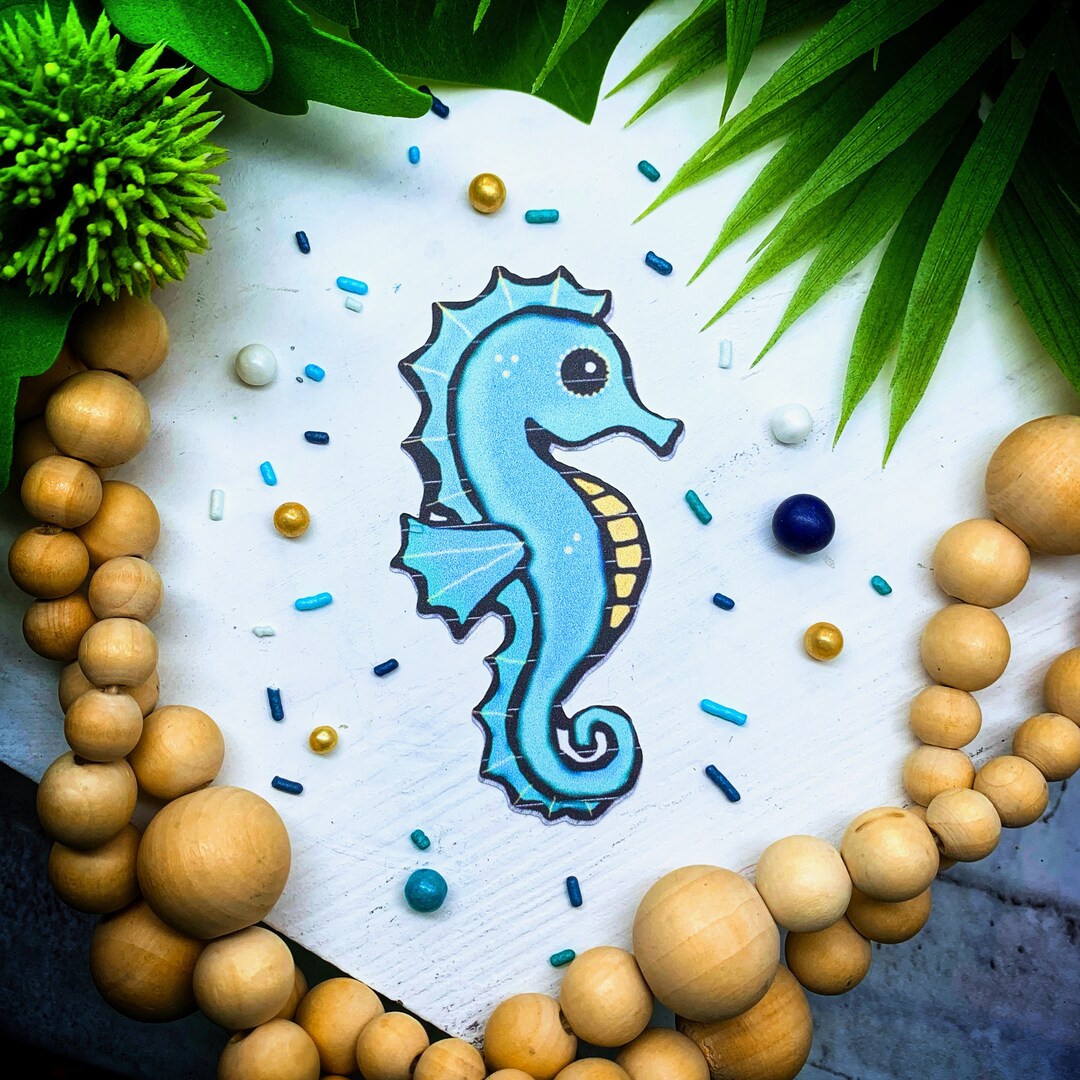 Seahorse Cookie Cutter - Etsy