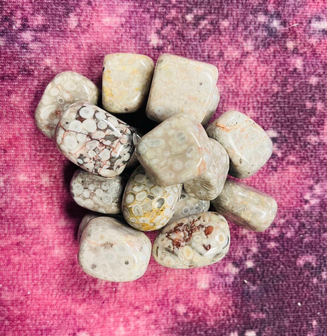 Tumbled Leopard Skin Jasper - Etsy