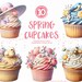 Spring Cupcake Clipart Bundle, Floral Cupcake PNG (digital Download) - Etsy