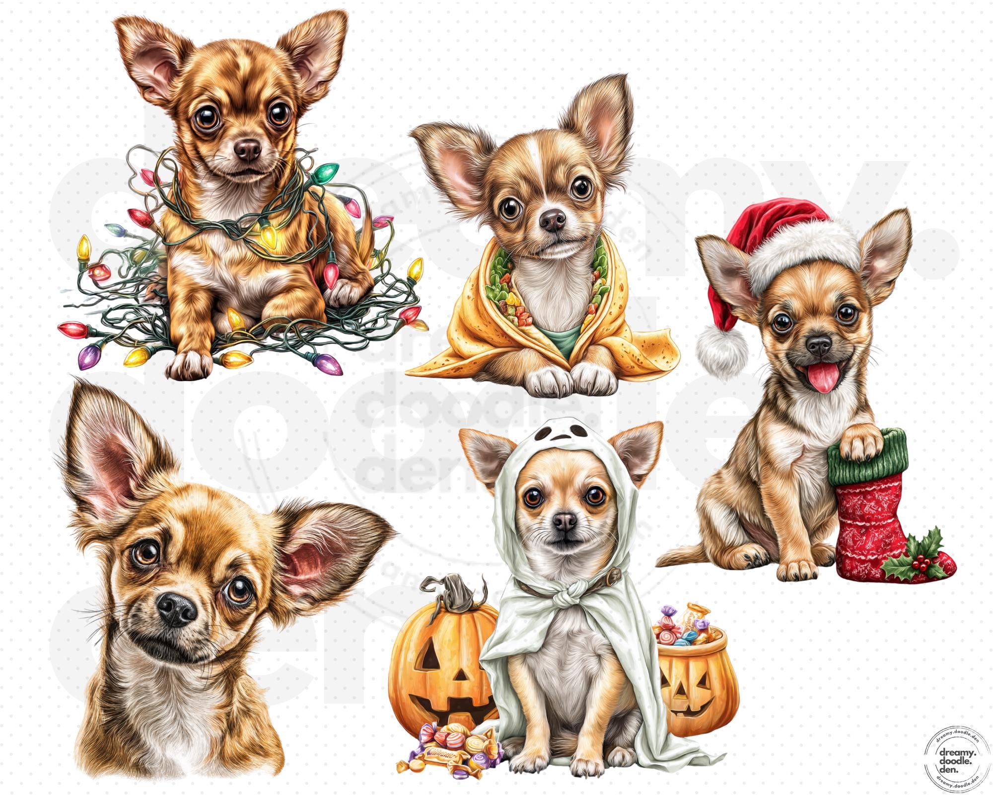 Funny Chihuahua Clipart Bundle, Chihuahua Pngs, Sassy Dog Emotions ...