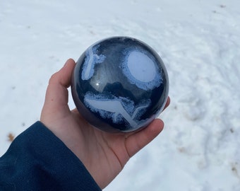 The Dragon Prince | Etsy