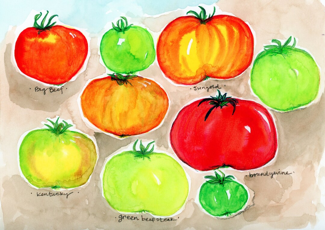 Garden Tomatoes Notecards - Etsy