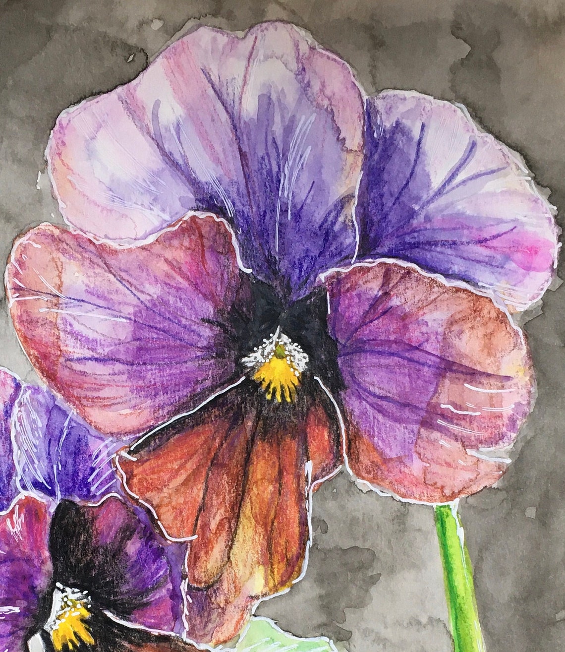 Pansy Art Print - Etsy