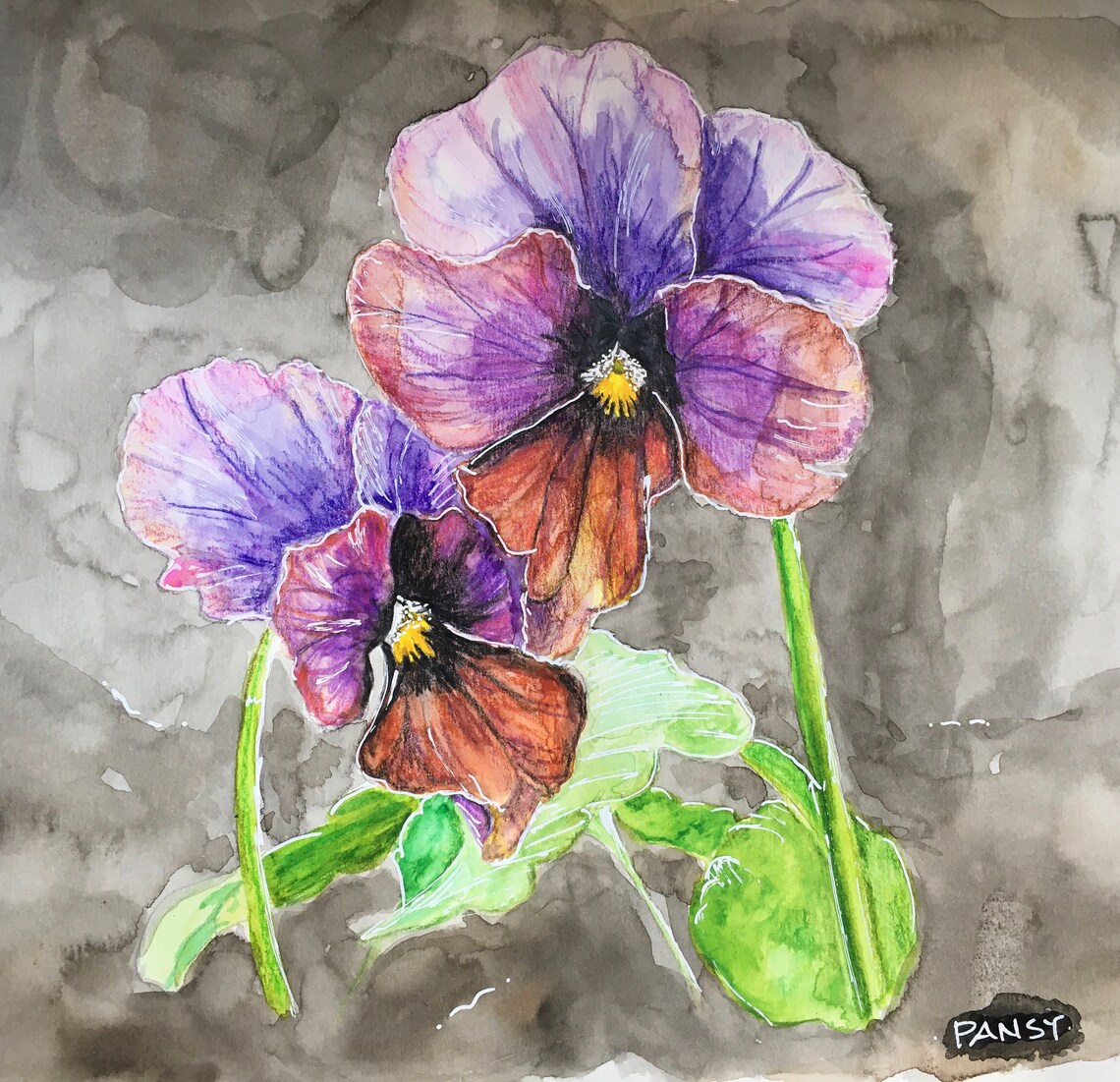 Pansy Art Print - Etsy