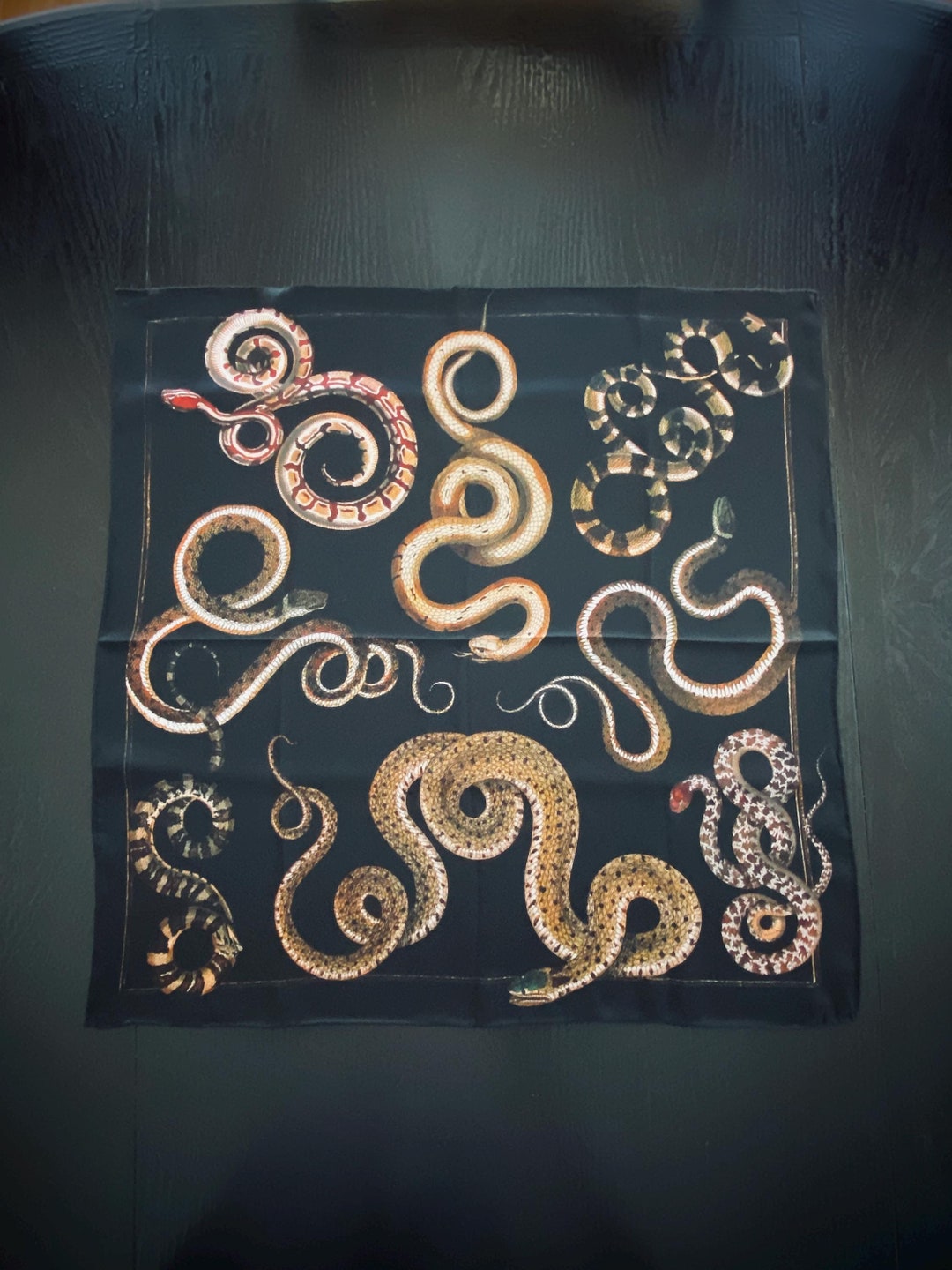 Antique Serpents Print Scarf - Etsy