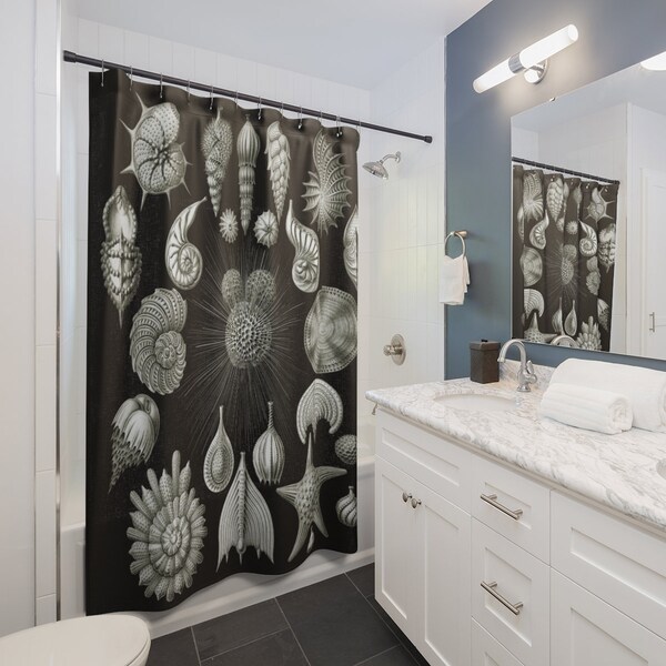Sea Shell Shower Curtain - Etsy
