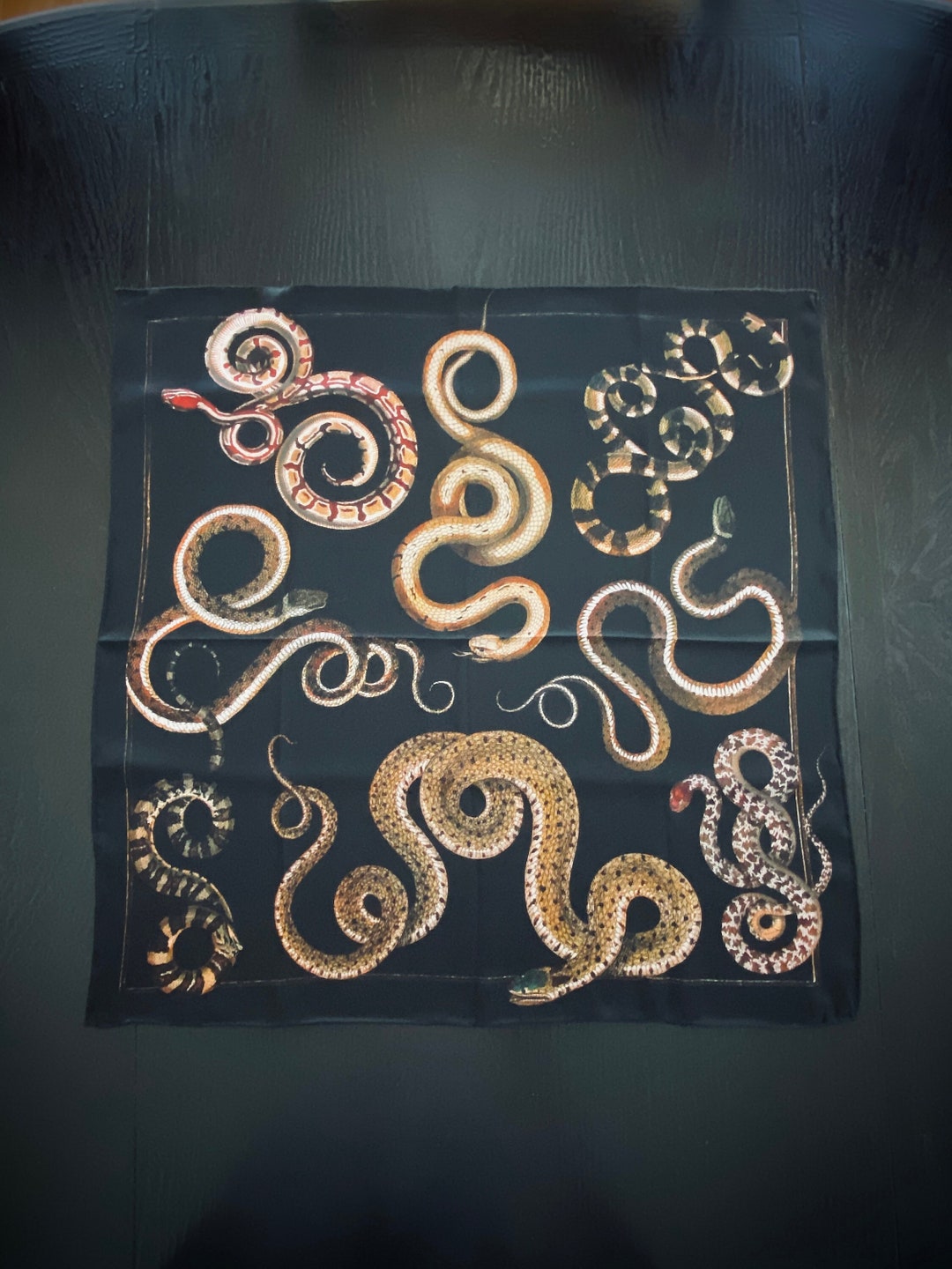 Luxury 100% 16mm Silk Antique Snake Print Scarf - Etsy