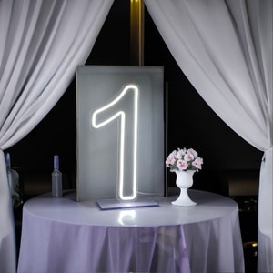 Neon Sign With Base, Number Neon Signs for Birthdays, 0-9 Neon Sign ...