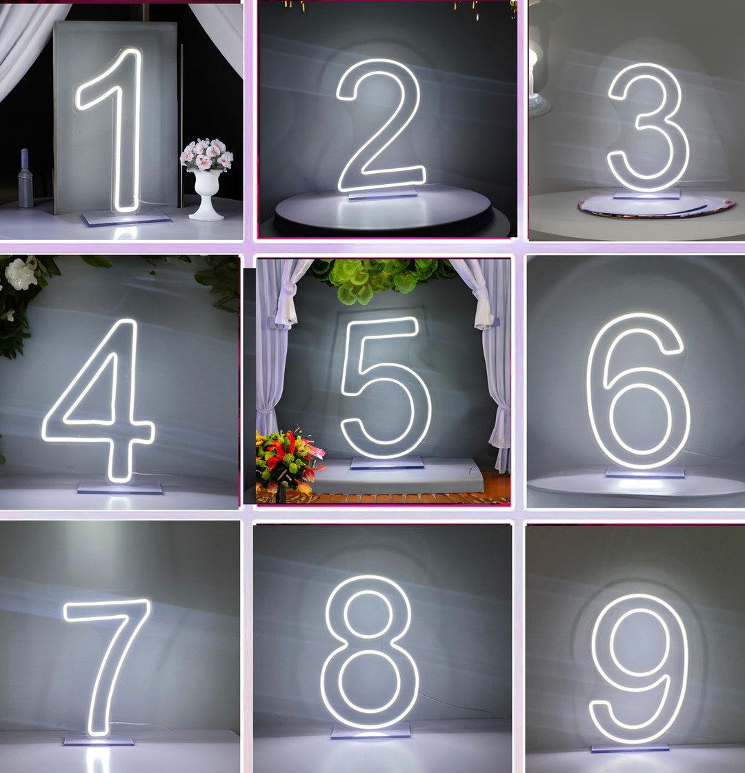 Neon Sign With Base, Number Neon Signs for Birthdays, 0-9 Neon Sign ...