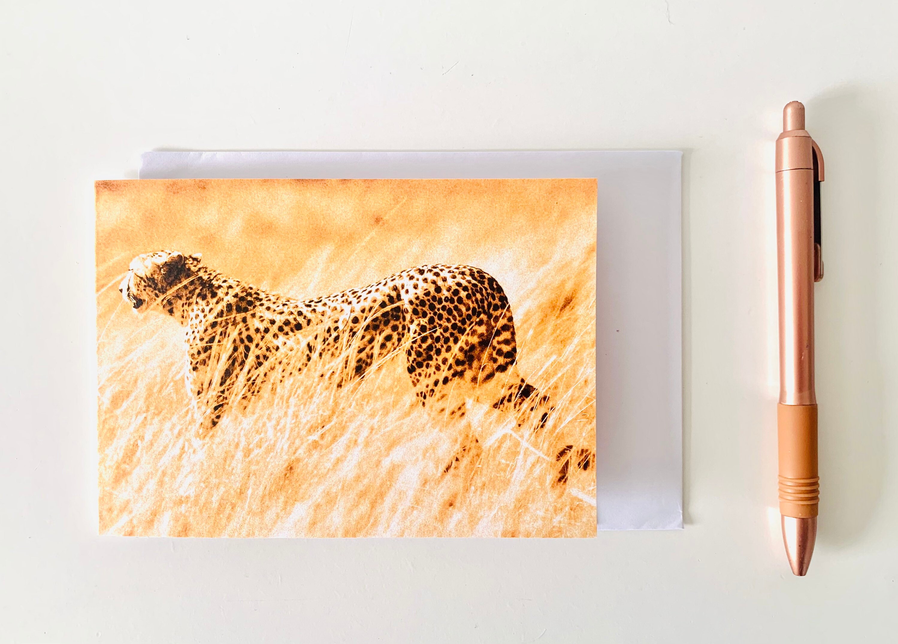 Cheetah Greeting Card Wildlife Birthday Cards by Jane - Etsy UK