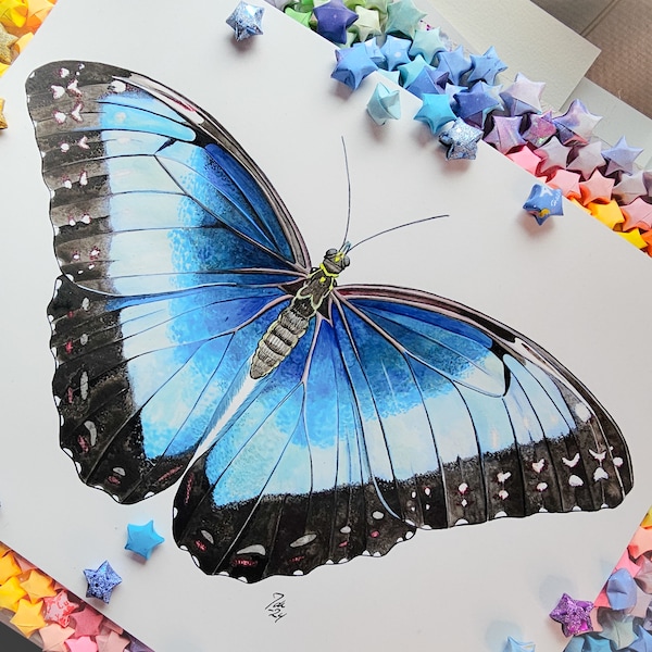 Blue Morpho - Etsy