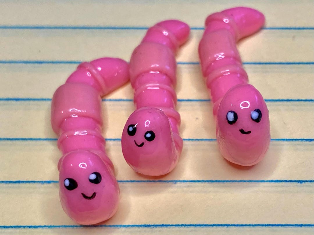 Multi-pack:tiny Pink Worm Decor Cute Polymer Clay Worms and Sweet Smile ...
