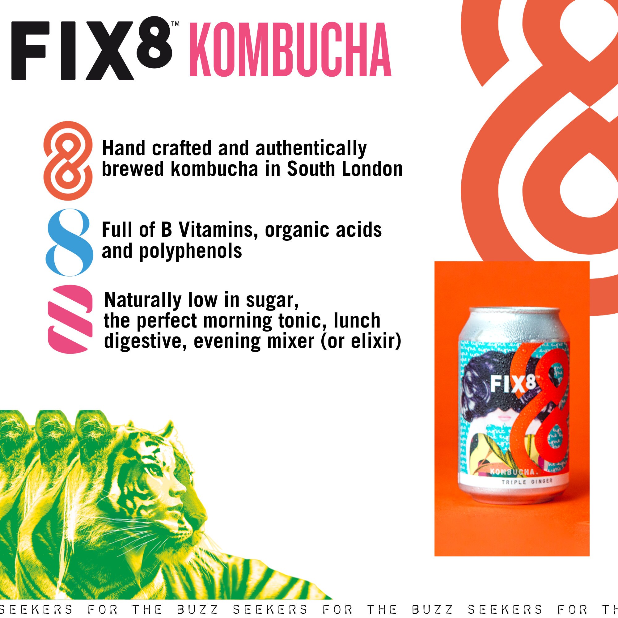 KOMBUCHA: Fix8 Triple Ginger Kombucha 12 X 330ml Cans - Etsy UK