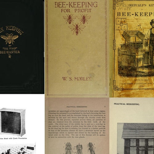 Vintage Bee Keeping Book Collection Apiary Beekeeping - Etsy