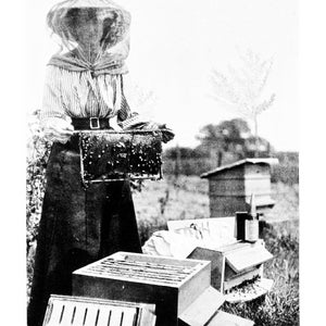 Vintage Bee Keeping Book Collection - Apiary, Beekeeping, Apiculture ...