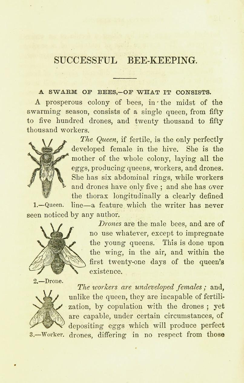 Vintage Bee Keeping Book Collection Apiary Beekeeping - Etsy