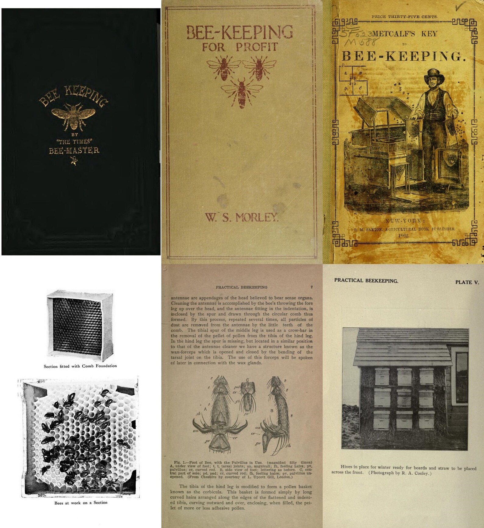 Vintage Bee Keeping Book Collection - Apiary, Beekeeping, Apiculture ...