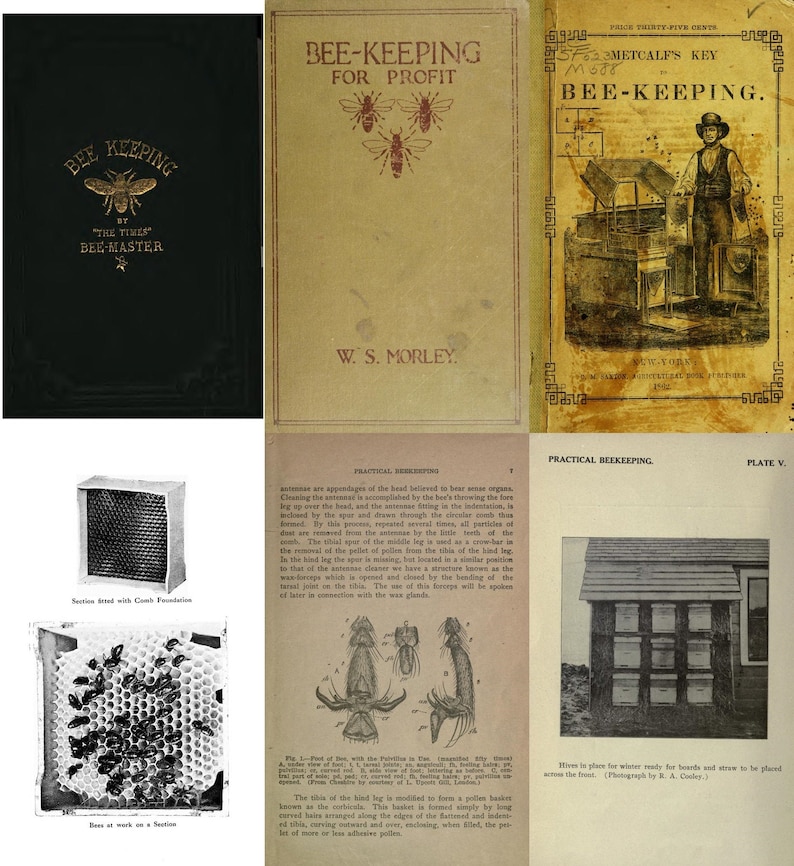 Vintage Bee Keeping Book Collection - Apiary, Beekeeping, Apiculture ...