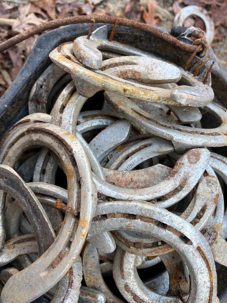 A Dozen Aluminum Horseshoes - Etsy