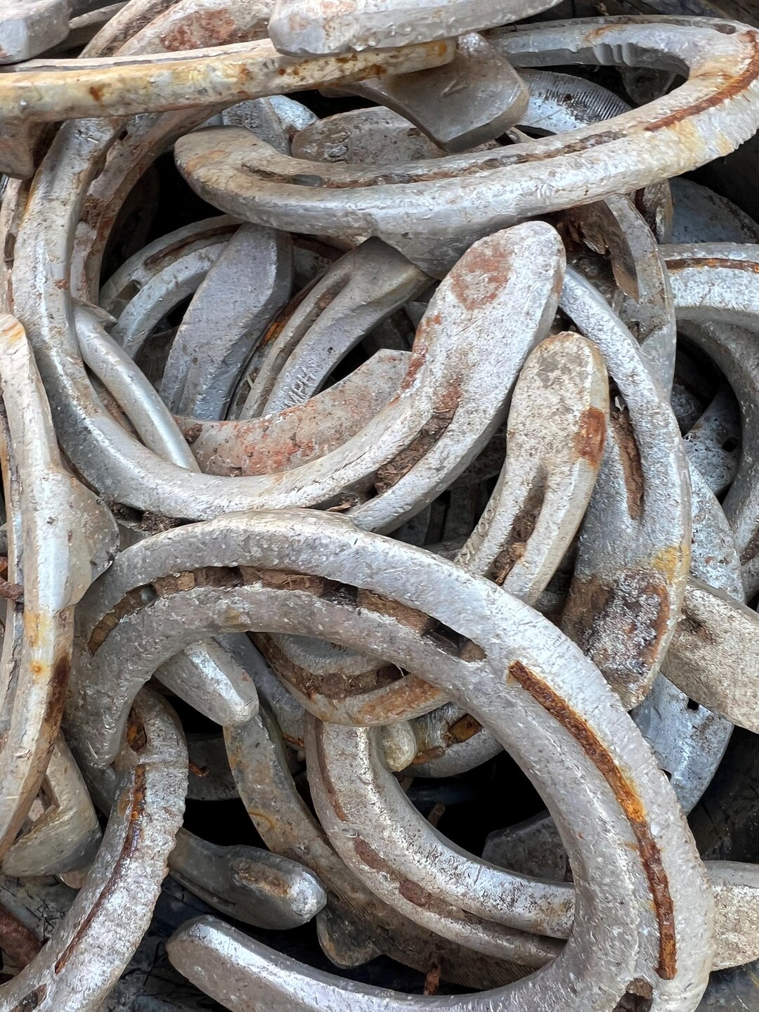 A Dozen Aluminum Horseshoes - Etsy