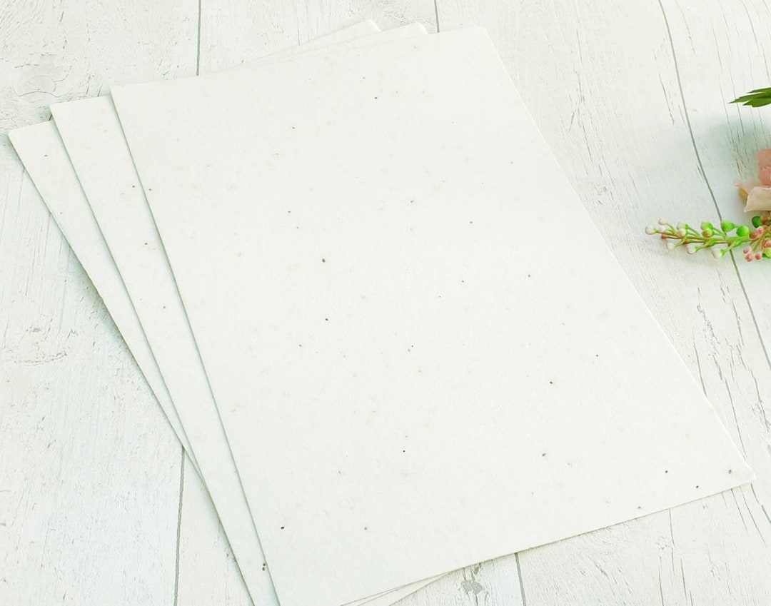 Basil Seed A4 Size Paper, Seed Paper, Seed Embedded Paper, Plantable ...