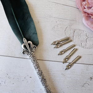 Rustic Shabby Chic Calligraphy Dark Green Feather Pen + Metal 5pcs Nib ...
