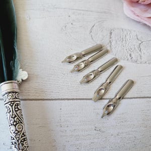 Rustic Shabby Chic Calligraphy Dark Green Feather Pen + Metal 5pcs Nib ...