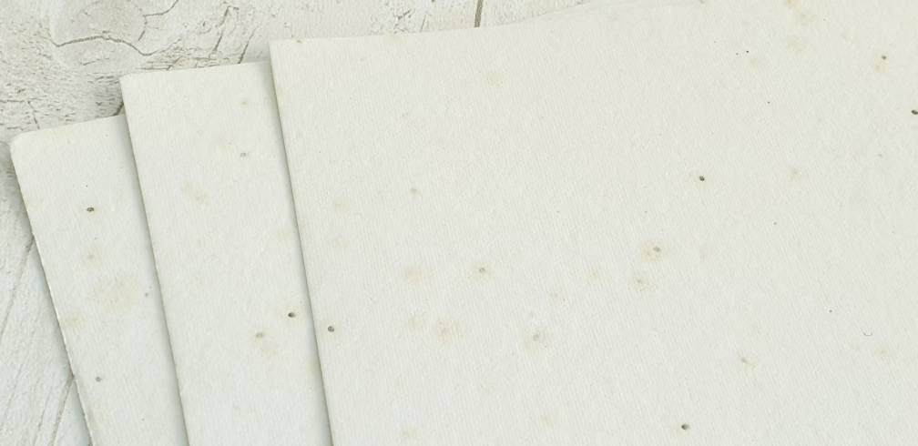 25 Basil Seed Paper Sheets: A4 Plantable Paper for Wedding Invites - Etsy