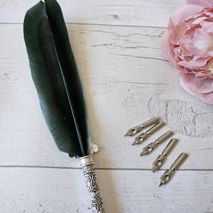 Rustic Shabby Chic Calligraphy Dark Green Feather Pen + Metal 5pcs Nib ...