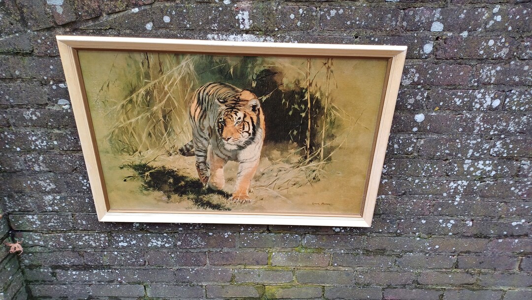 Huge Vintage Retro Marauding Bengal Tiger Print Leonard Pearman. 90 X ...