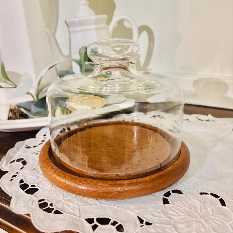 Cheese Cloche - Etsy