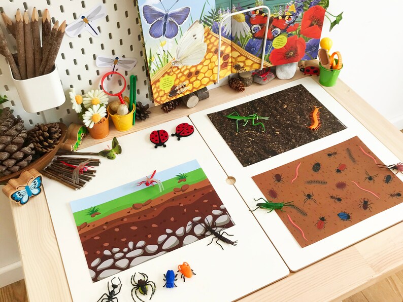 Bugs DIGITAL DOWNLOAD, Minibeast, Insect Download, Table Activity ...