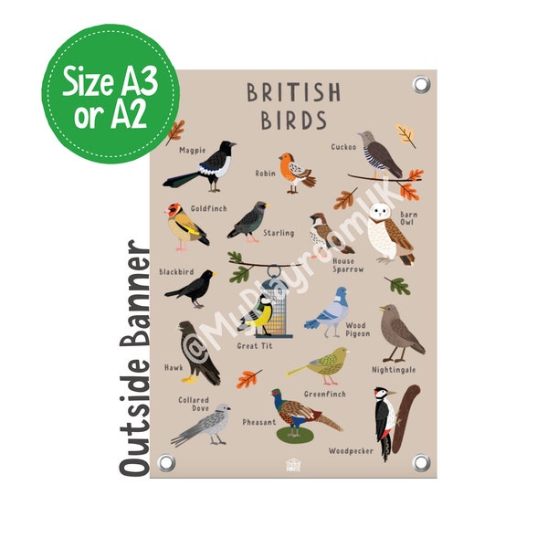British Birds Poster - Etsy UK