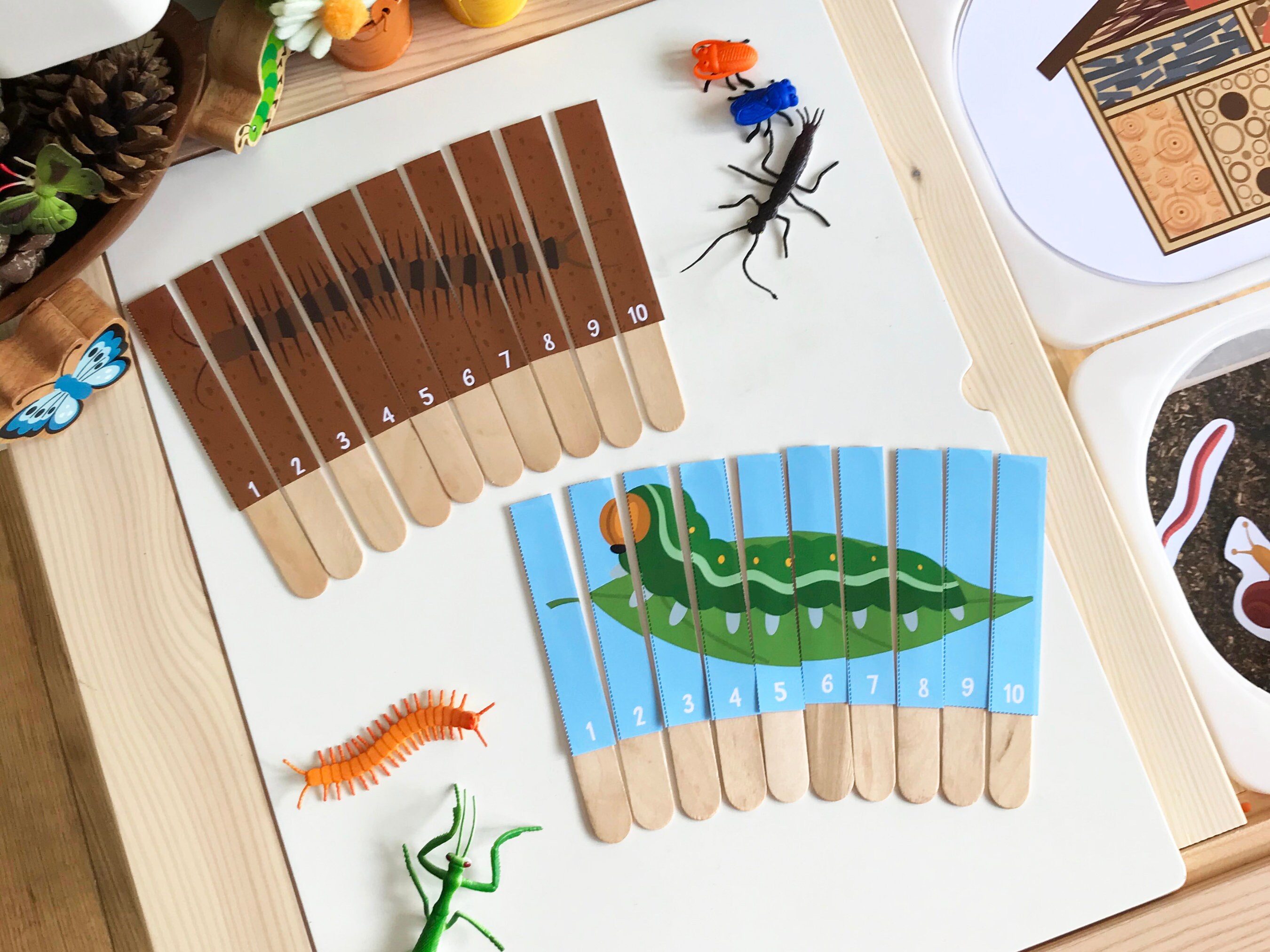 Bugs DIGITAL DOWNLOAD Minibeast Insect Download Table - Etsy Canada