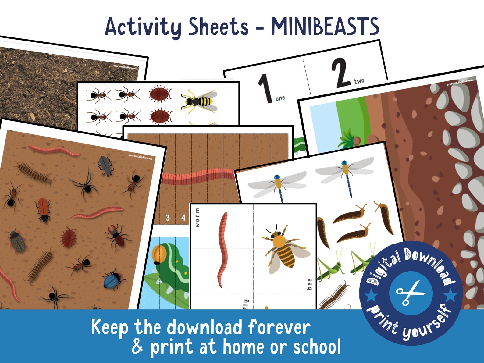 Bugs DIGITAL DOWNLOAD, Minibeast, Insect Download, Table Activity ...