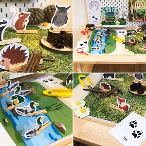 Wildlife DIGITAL DOWNLOAD, Woodland, Insect Download, Table Activity ...