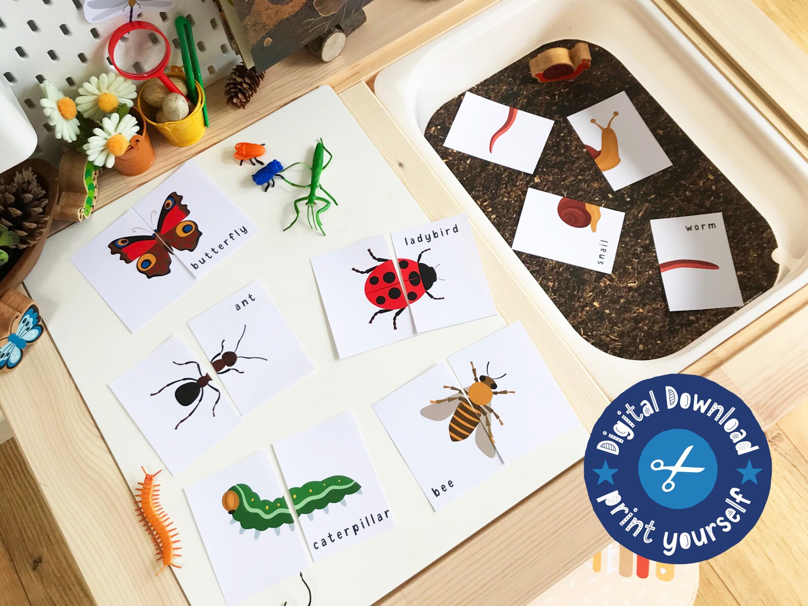 Bugs DIGITAL DOWNLOAD, Minibeast, Insect Download, Table Activity ...