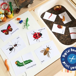 Bugs DIGITAL DOWNLOAD, Minibeast, Insect Download, Table Activity ...