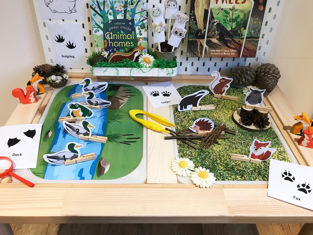 Wildlife DIGITAL DOWNLOAD, Woodland, Insect Download, Table Activity ...