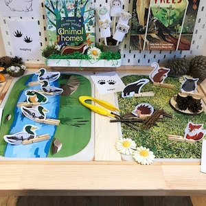 Wildlife DIGITAL DOWNLOAD, Woodland, Insect Download, Table Activity ...