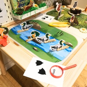 Wildlife DIGITAL DOWNLOAD, Woodland, Insect Download, Table Activity ...