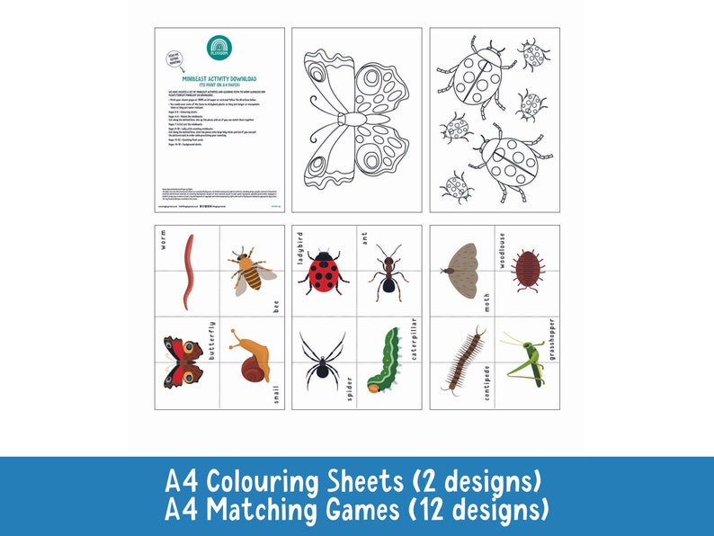 Bugs DIGITAL DOWNLOAD, Minibeast, Insect Download, Table Activity ...