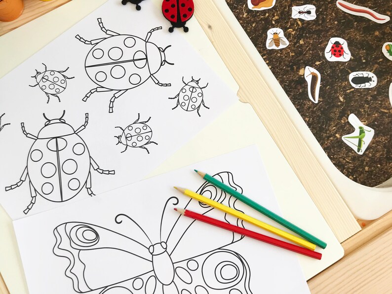 Bugs DIGITAL DOWNLOAD Minibeast Insect Download Table - Etsy Canada