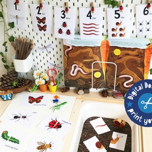 Bugs DIGITAL DOWNLOAD, Minibeast, Insect Download, Table Activity ...