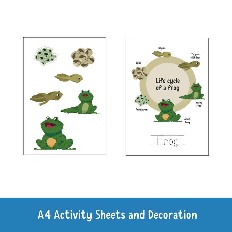 Lifecycle of a Frog DIGITAL DOWNLOAD, Pretend Play, Preschool ...