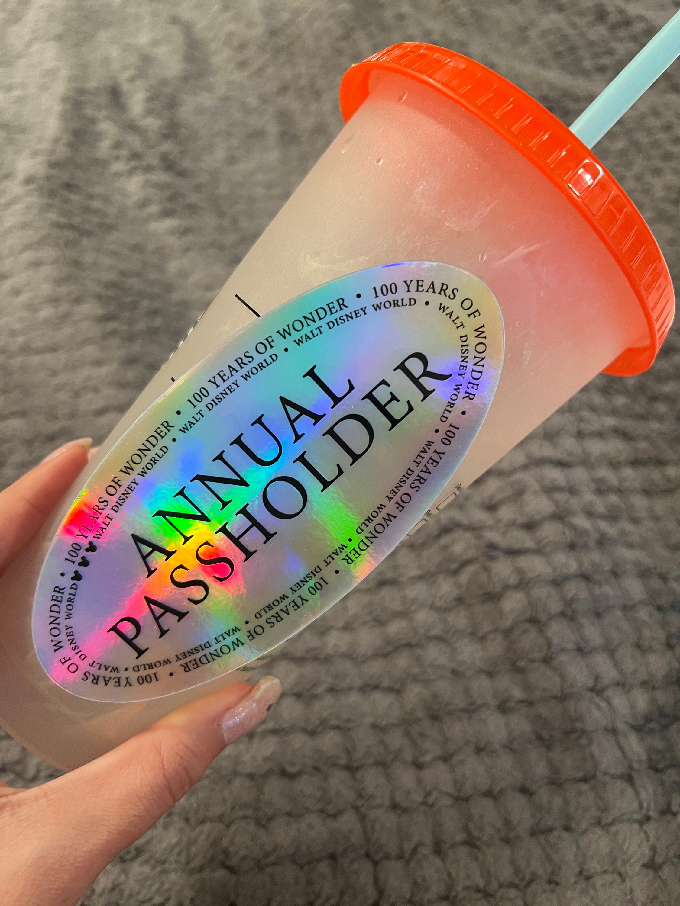 Annual Passholder Holographic Sticker - Etsy